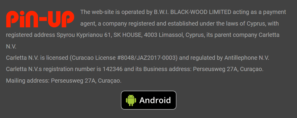 Aplicación móvilPin-Up: cómo descargar e instalar la aplicación para ...